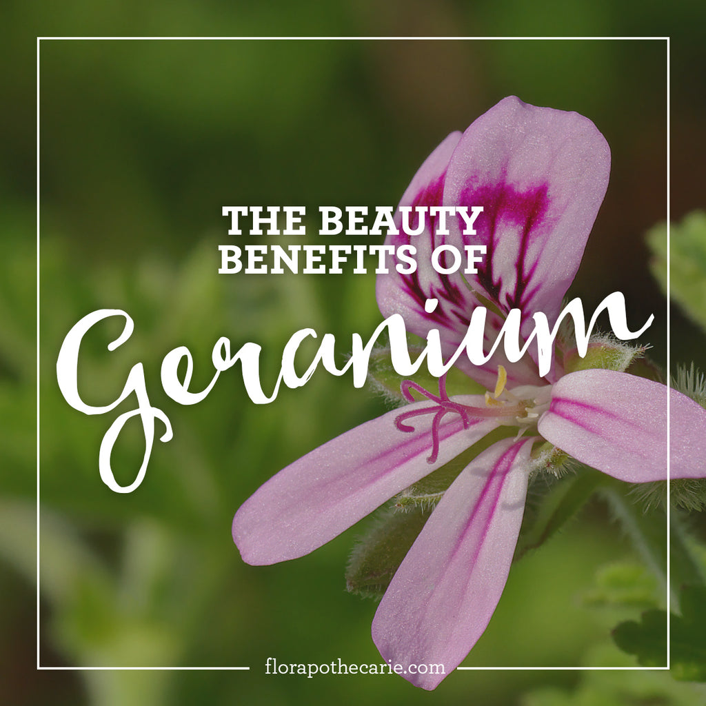 Ingredient Love: Geranium – florapothecarie